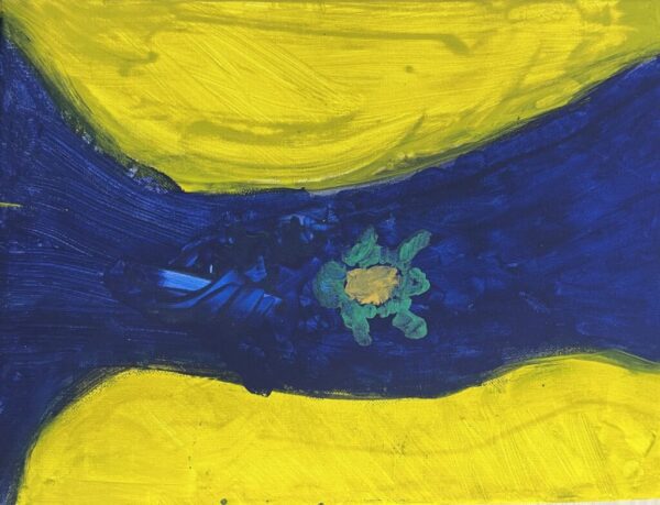 Programs & Training - NAPCAN